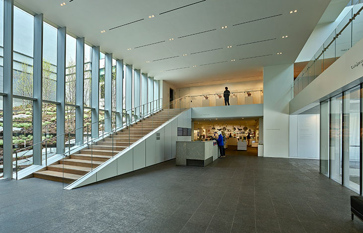 EskewDumezRipple Revitalizes Bruce Museum